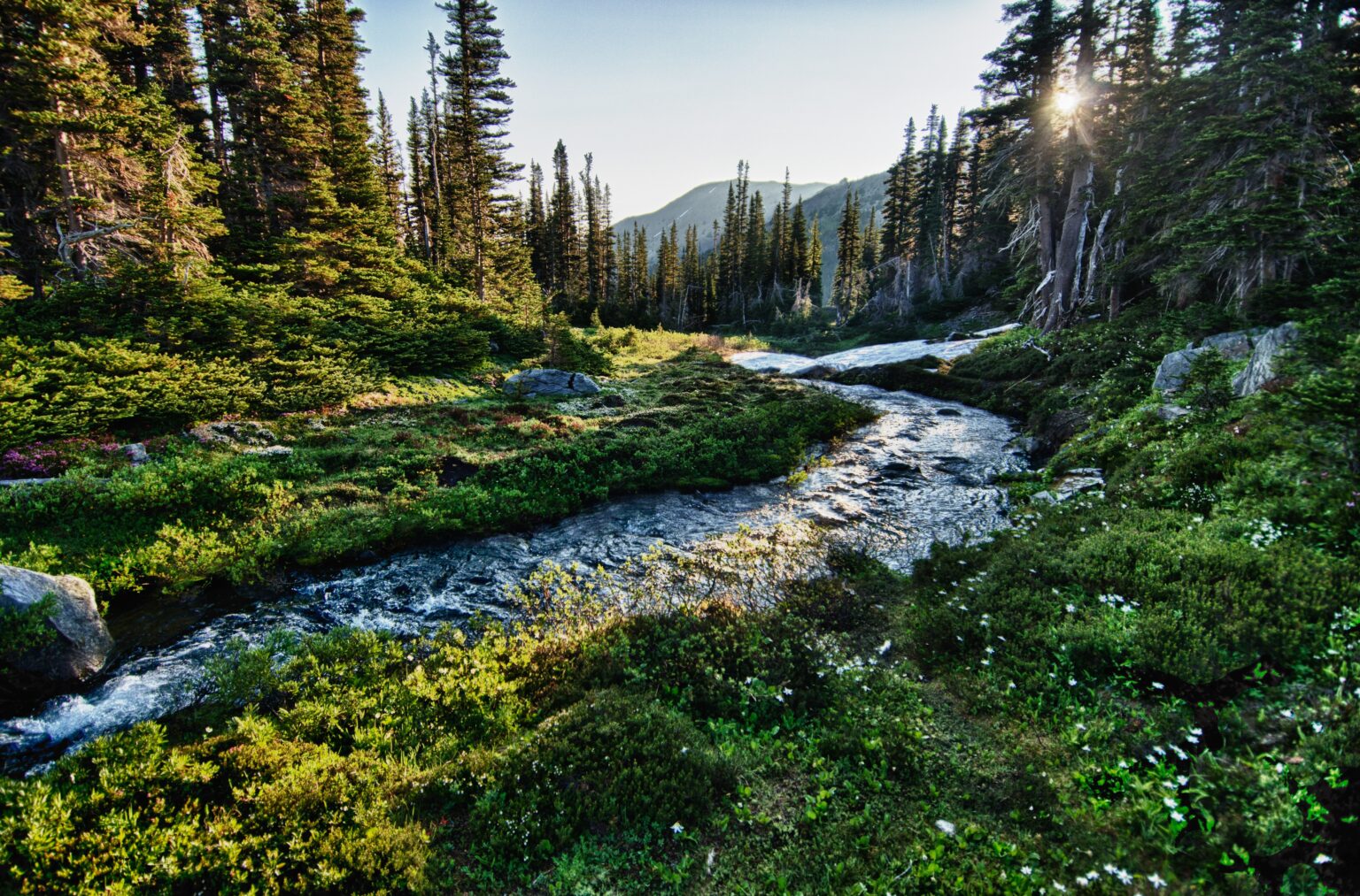 Forks Washington Travel Guide for Twilight Fans
