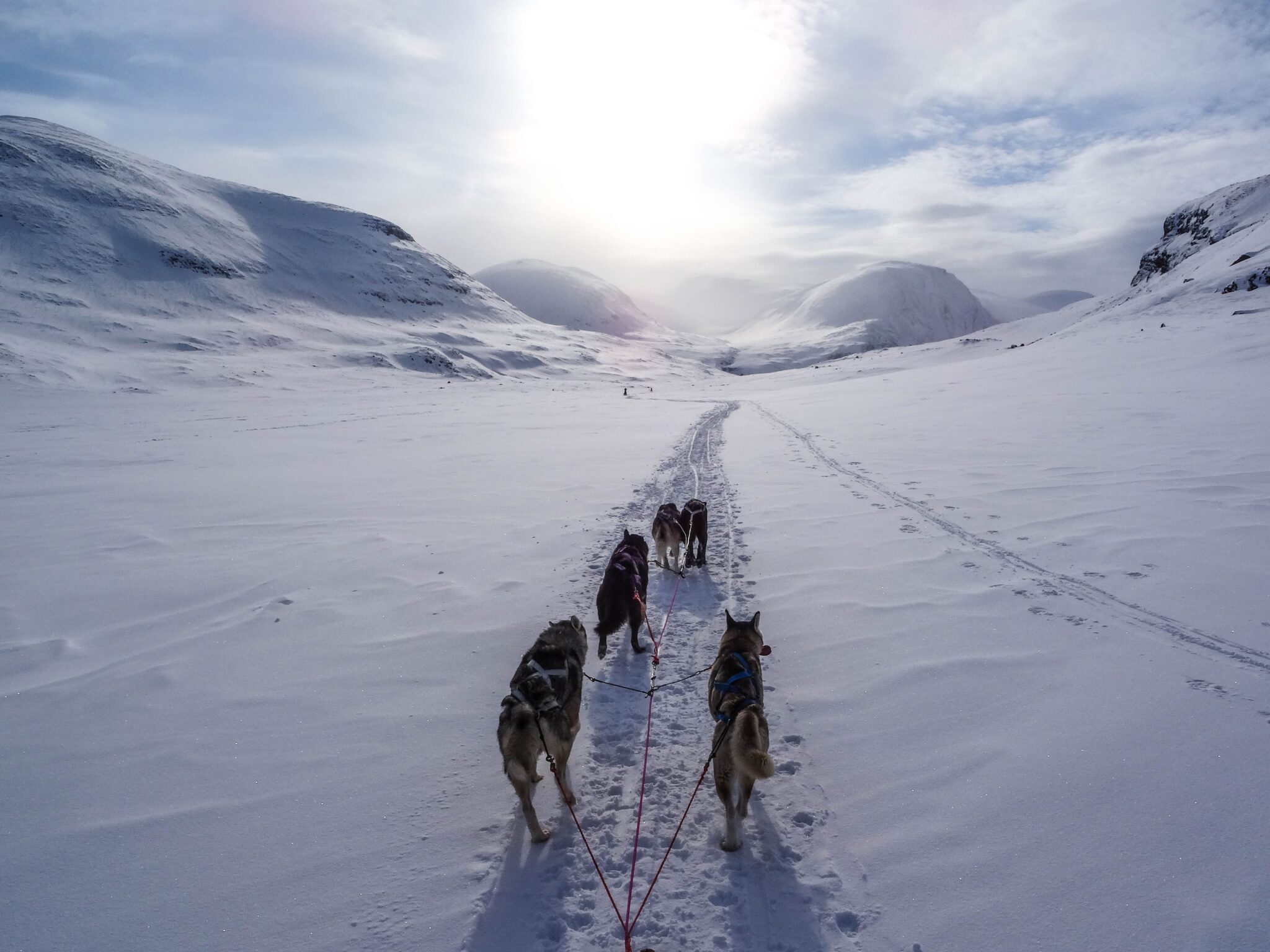 Best Way To Visit Alaska in Winter | Ultimate Travel Guide