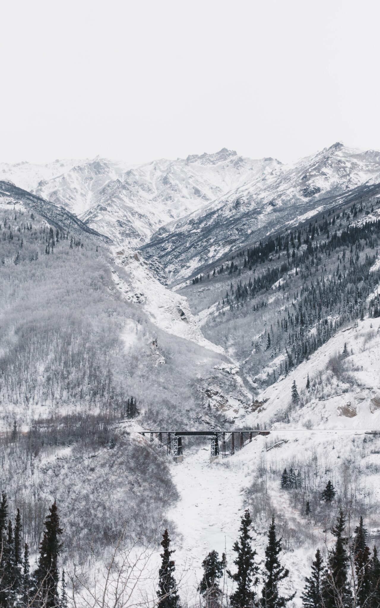 Best Way To Visit Alaska in Winter | Ultimate Travel Guide
