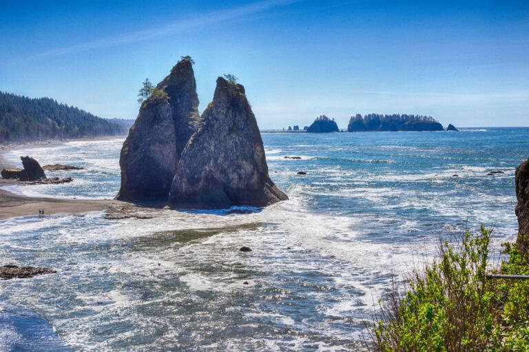 Forks Washington Travel Guide for Twilight Fans