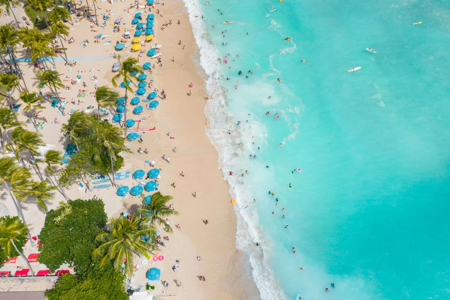 The Best Island to Visit in Hawaii in December - TierOneTravel.com ...