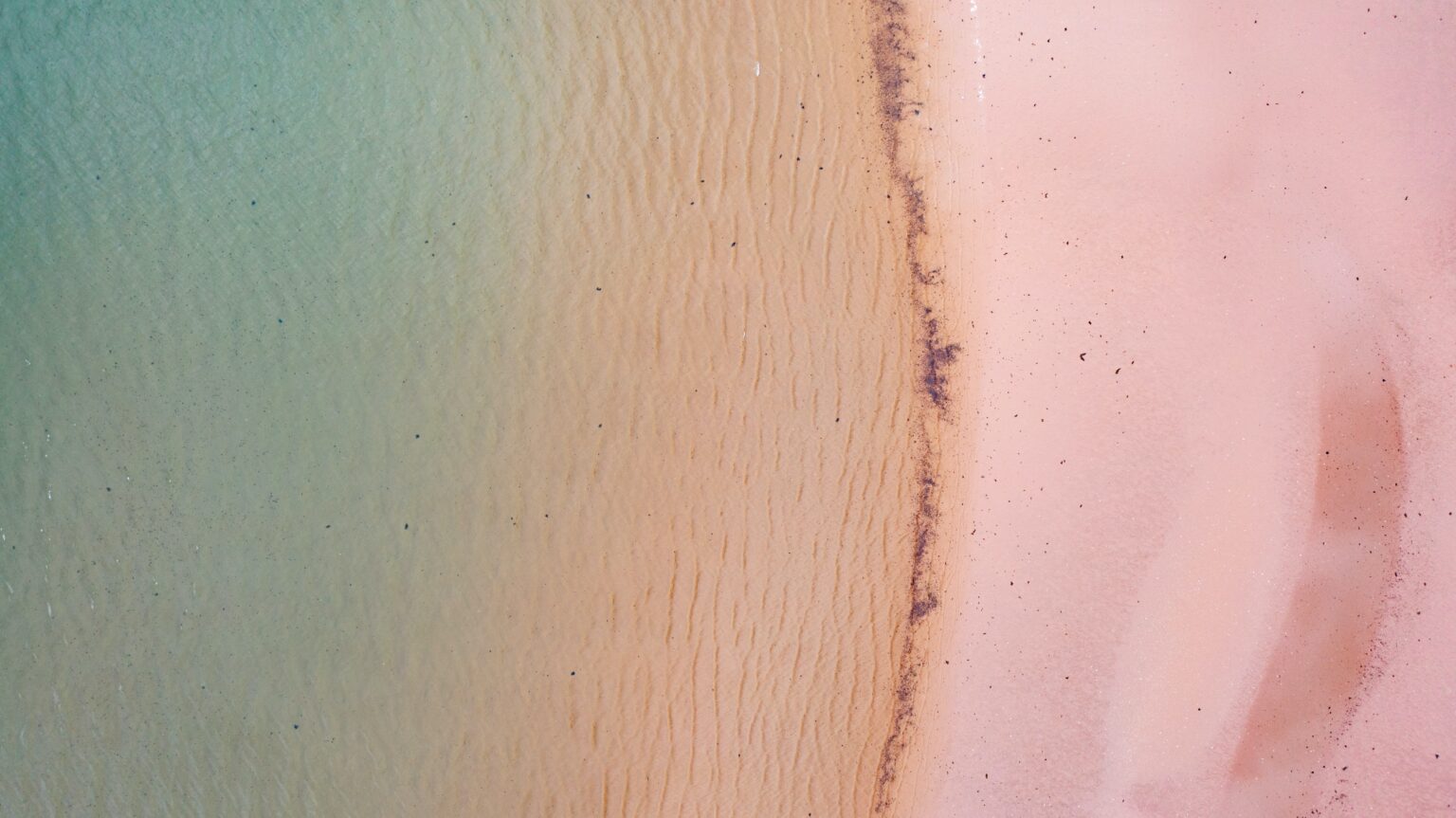 Visit Beautiful Pink Sand Beaches in the Bahamas