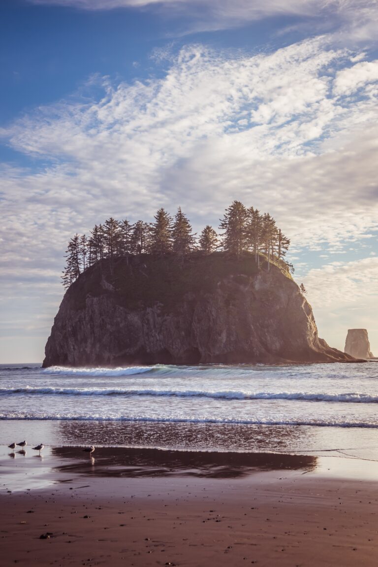 Forks Washington Travel Guide for Twilight Fans