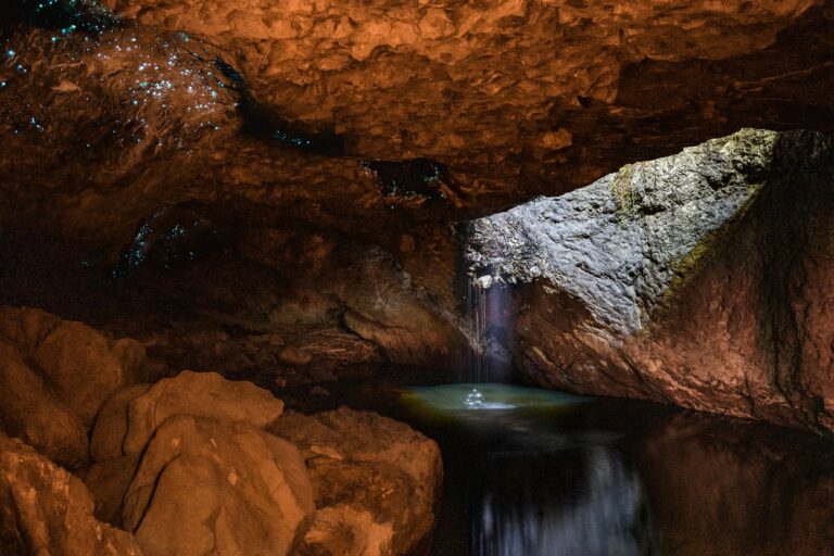 Must-Visit Glow Worm Caves Gold Coast Travel Guide