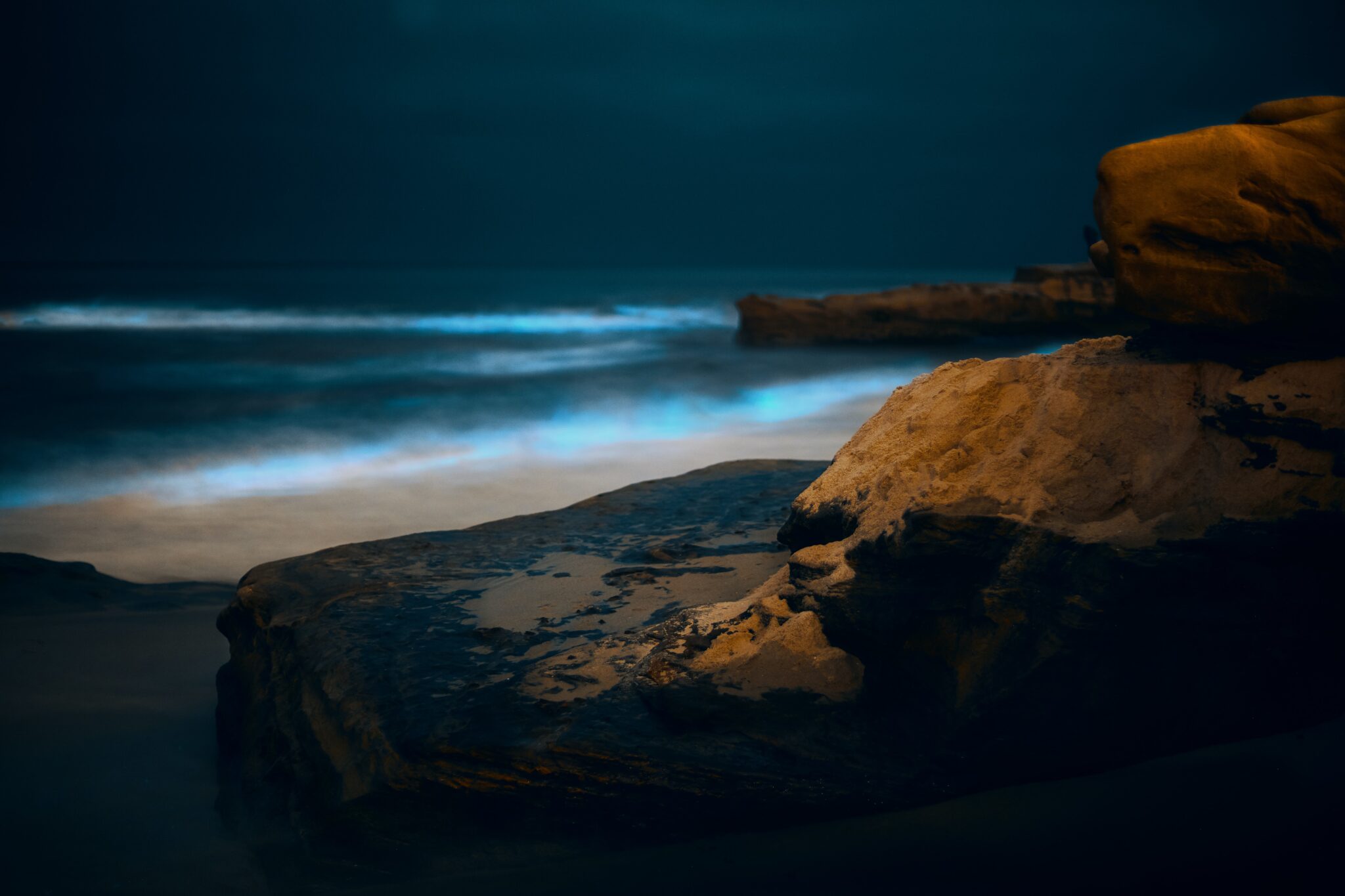 5 Must-See Bioluminescent Beaches Around the World