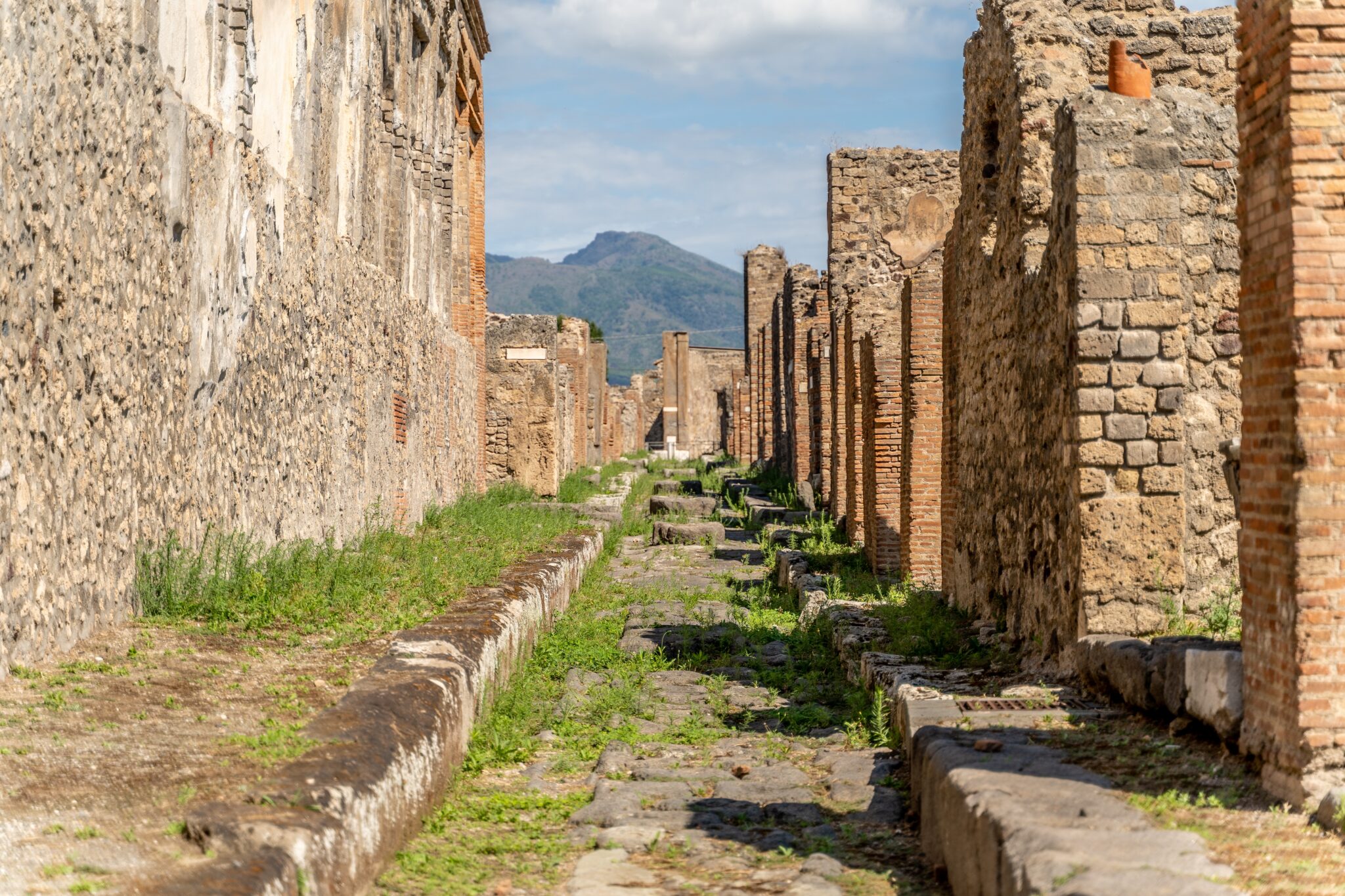 The Best Province of Naples Wineries