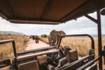 Gift One of These Amazing Travel Experiences this Christmas ...