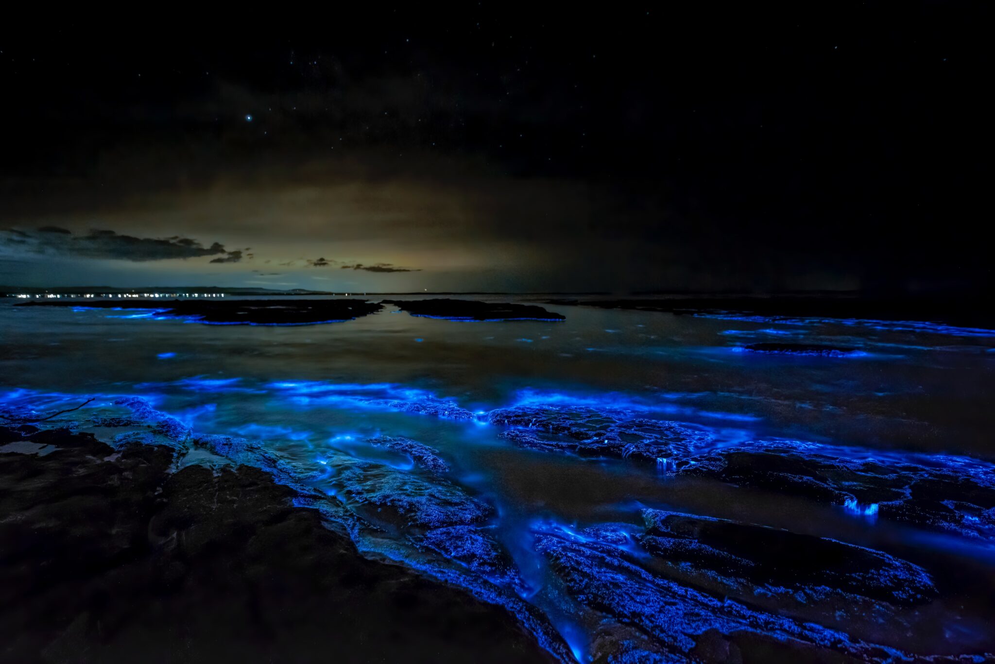 5 Must-See Bioluminescent Beaches Around the World